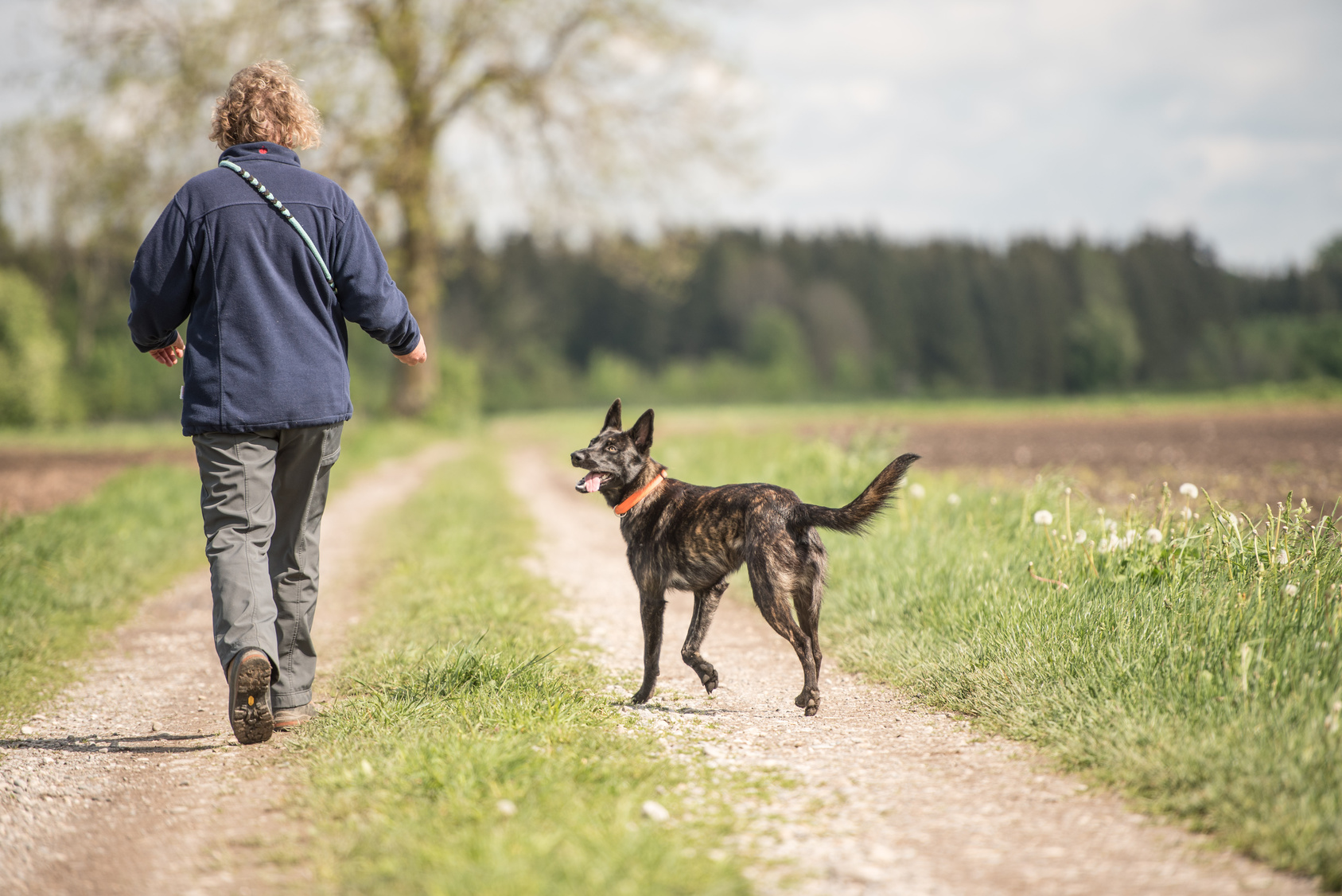 Schock beim Gassi gehen: Statt einem Stöckchen bringt der Hund das Bein ...